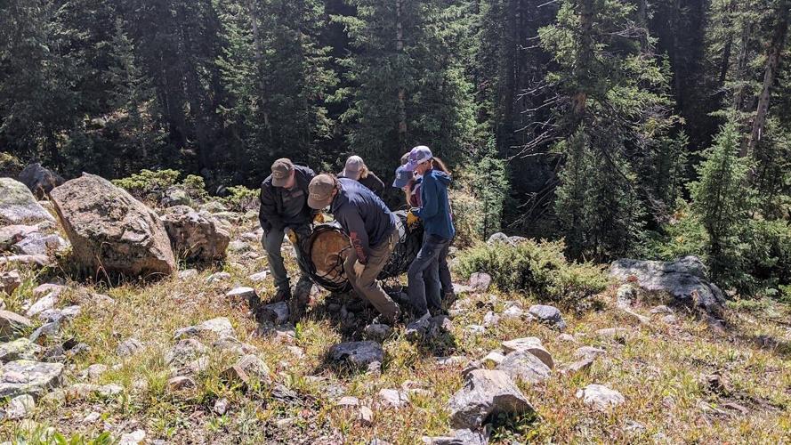 Pitkin County getting bang for bucks in ‘forest protection officer ...