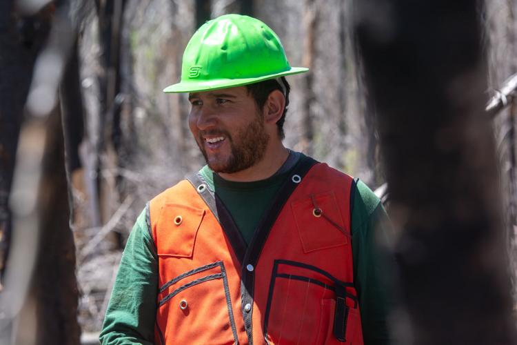 Six years after Lake Christine, Forest Service starts major reseeding work | News ...