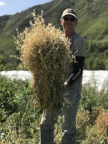 The Farm Collaborative grows local interest in growing local food ...