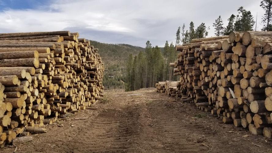 The economic driver in the forest next door | News | aspendailynews.com