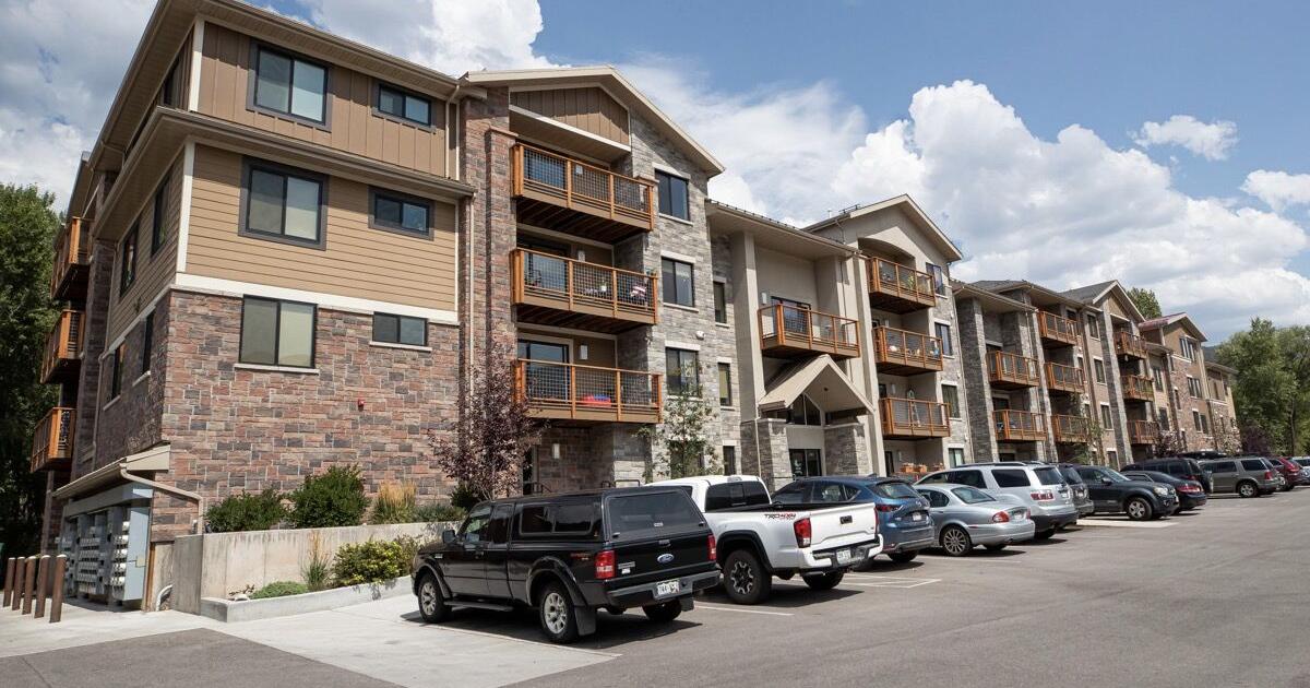 Former APCHA executive director appointed to Basalt Affordable ...
