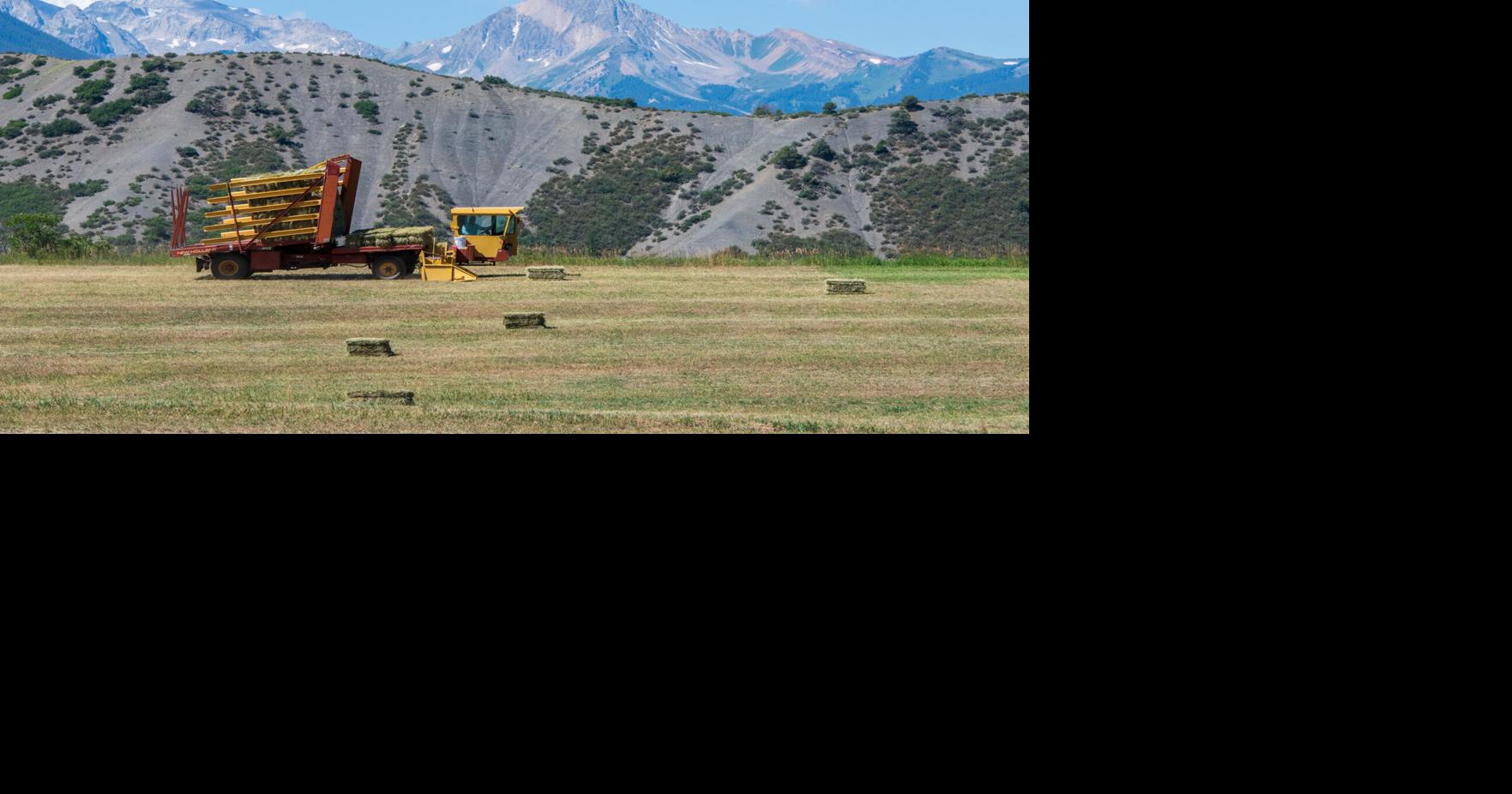 Applications open for PitCo low-income property tax relief program ...