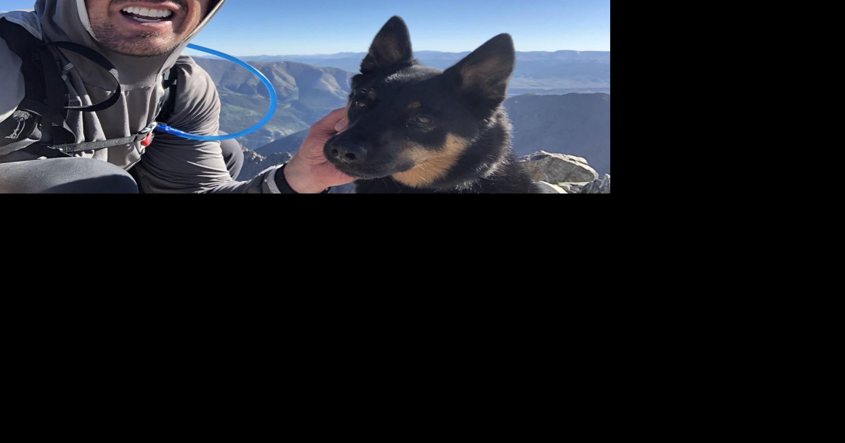 David Cook | About Us | aspendailynews.com