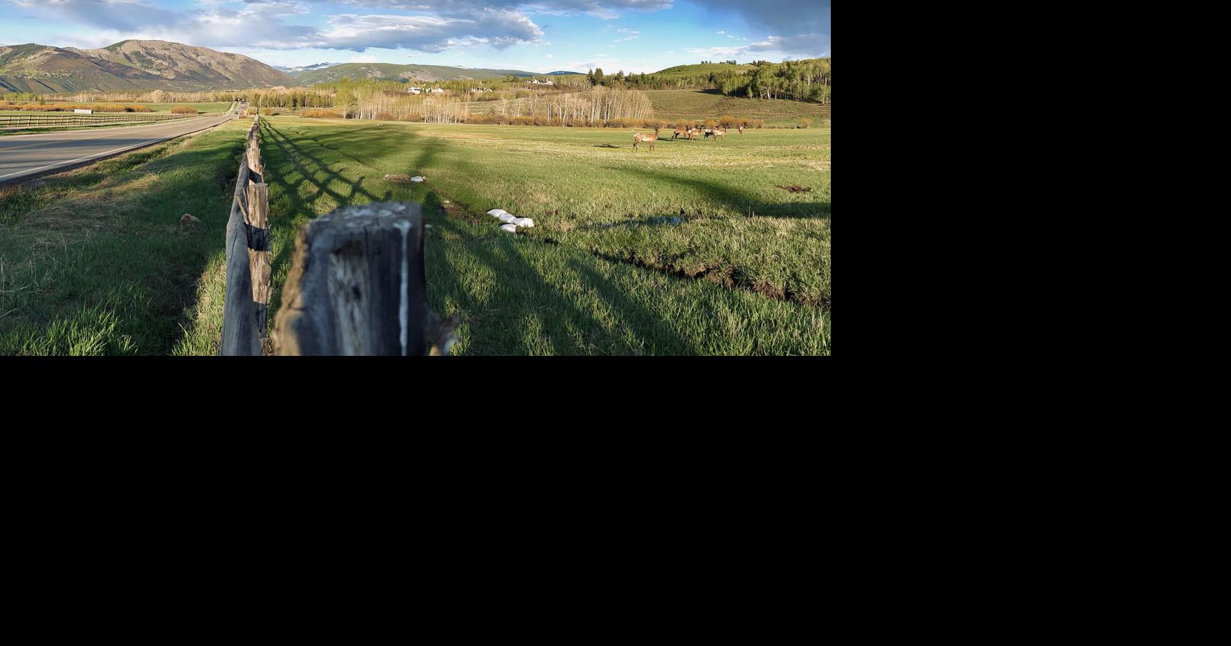 Pastoral setting | Multimedia | aspendailynews.com