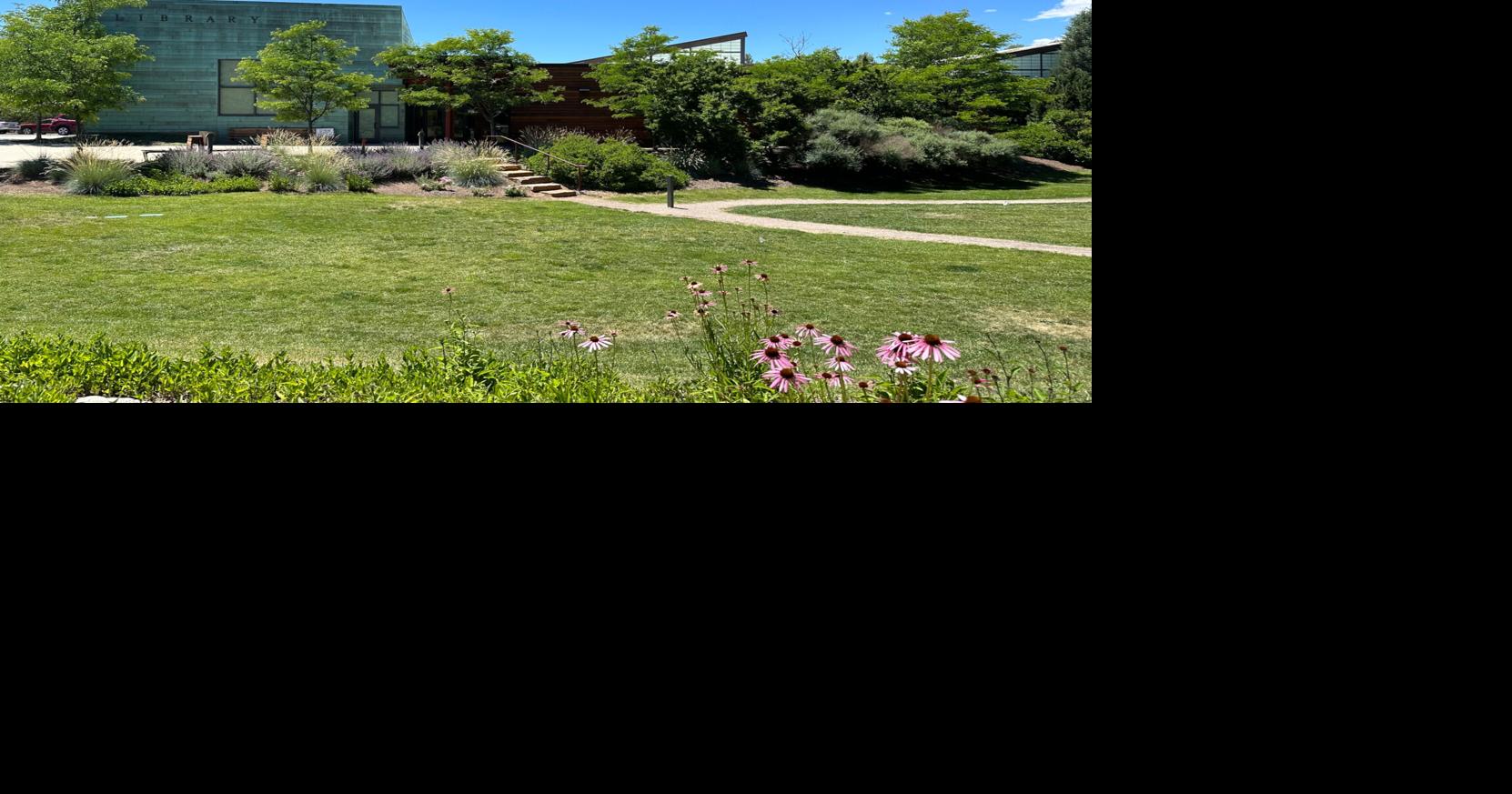 Basalt library roof to get a redo | News | aspendailynews.com