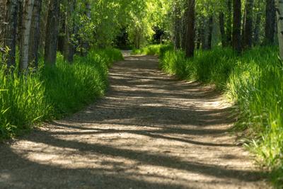 Marolt Open Space history, vegetation, geography, uses considered in ...