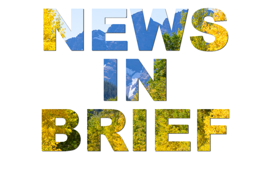 Local news in brief, Nov. 21 | News | aspendailynews.com