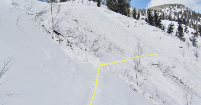 More details released about avalanche that killed local residents ...