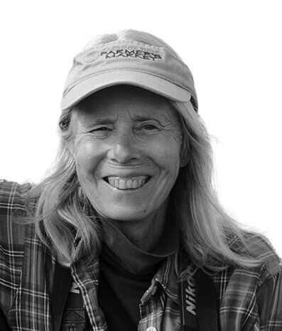 Pulling thistles, sowing hope | Opinion | aspendailynews.com