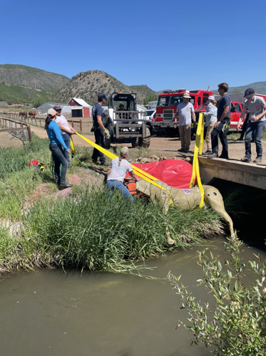 Local first-responders get training in large animal rescue techniques ...