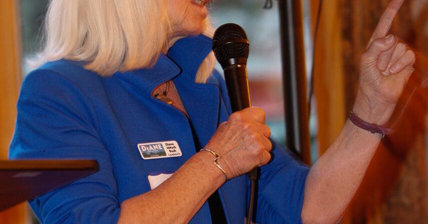Diane Mitsch Bush cites bipartisan record in PitCo Dems virtual ...