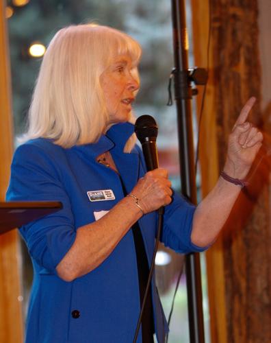 Diane Mitsch Bush cites bipartisan record in PitCo Dems virtual ...
