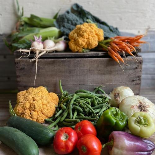 Sharing a passion for fresh foods | News | aspendailynews.com