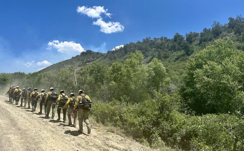 Slow spread of Spring Creek Fire allows crews to ‘box it in’ | News ...