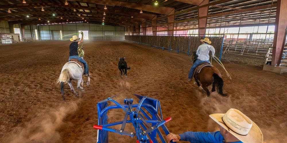 ASU Rodeo Receives Grants for Complex Improvements | News | asurampage.com