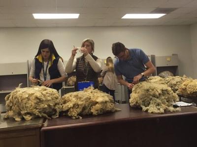 Wool Judging Team wins big | News | asurampage.com