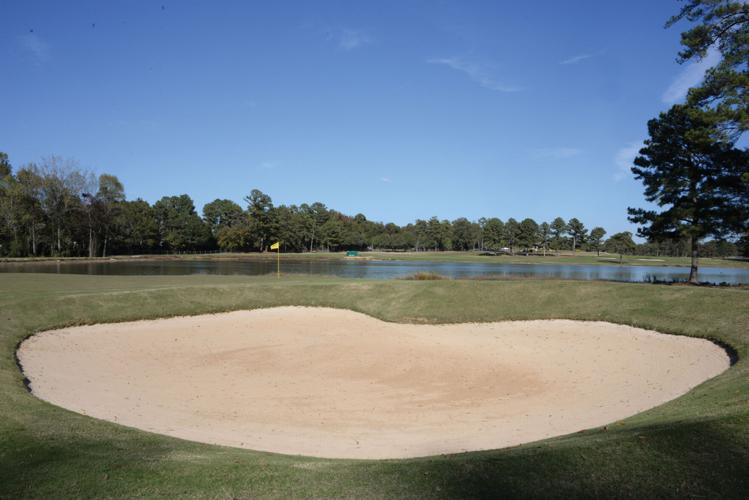 Pines Crossing Golf Course opens | News | auburnvillager.com