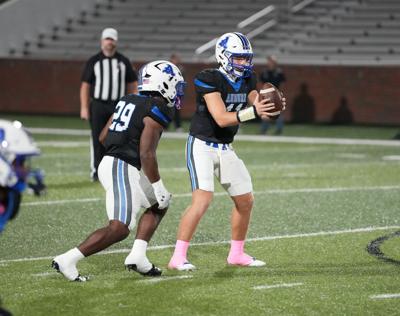 Auburn High completes perfect regular season with win over Dothan ...