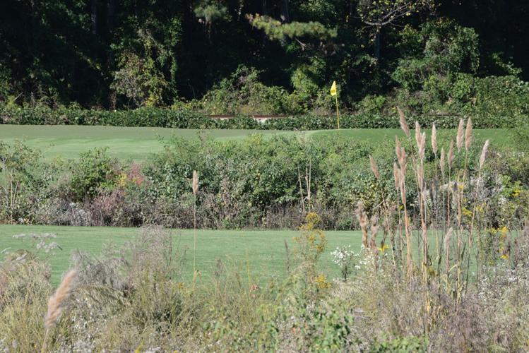 Pines Crossing Golf Course opens | News | auburnvillager.com