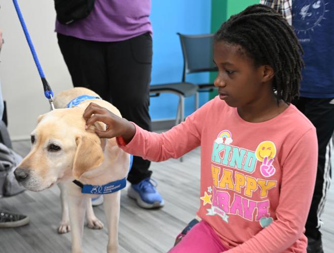 Auburn alum's short film highlights hero's journey of service dog ...