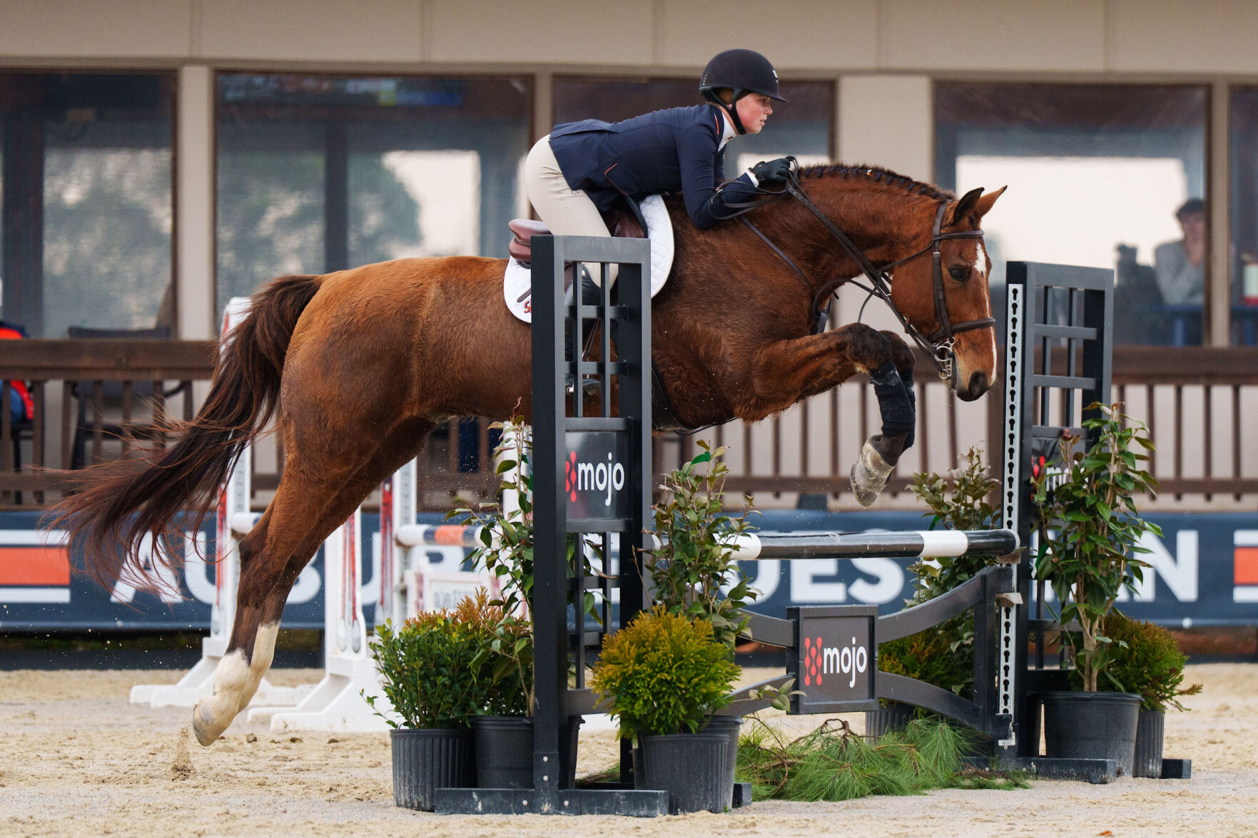 Tigers to host SEC Equestrian Championship | Sports | auburnvillager.com