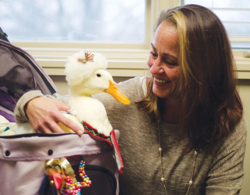 Local therapy duck called to life of soothing others | News ...