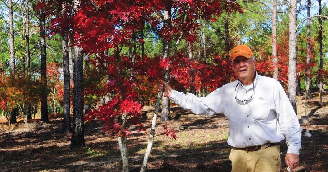 Pat Dye estate gifts Crooked Oaks Farm to Auburn University | News ...