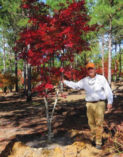 Pat Dye estate gifts Crooked Oaks Farm to Auburn University | News ...