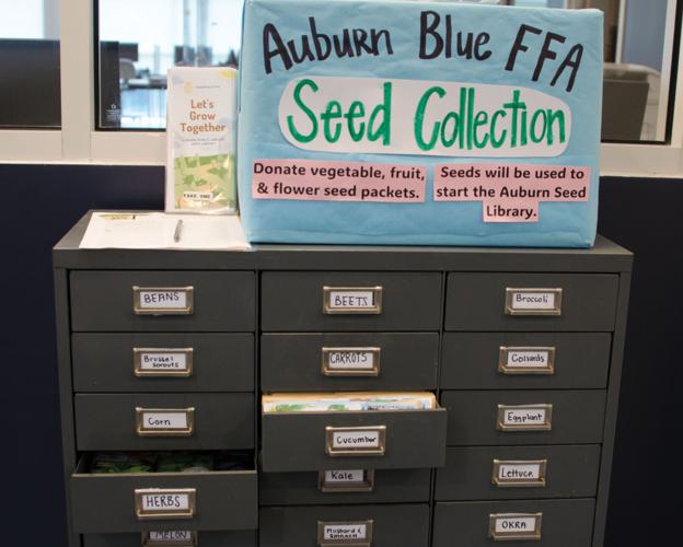 AHS students bring Seed Library to Auburn Public Library | News ...