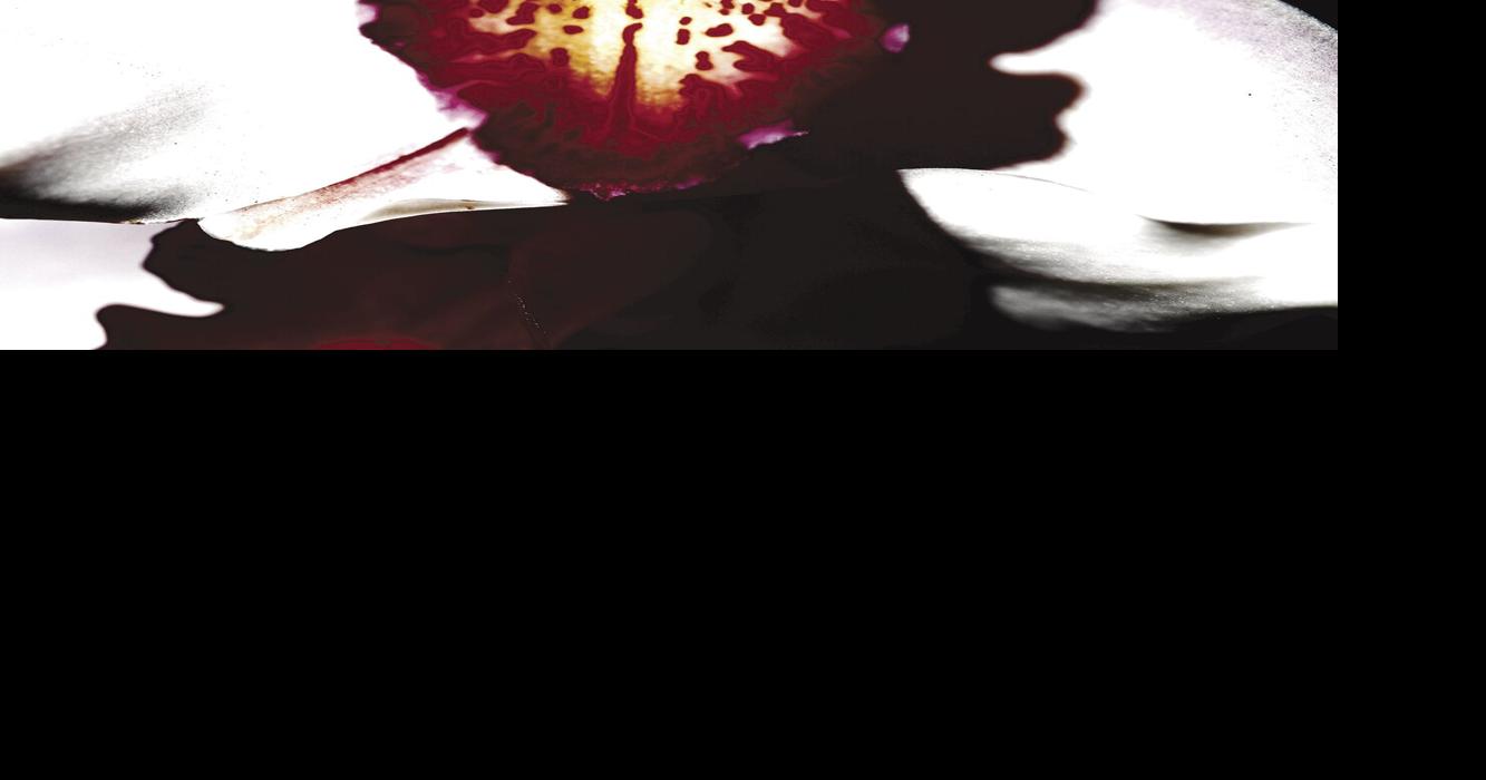 Chrystabell & David Lynch channel ‘Twin Peaks’ | Showcase | avpress.com