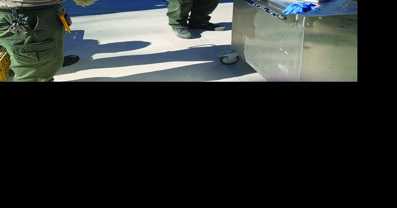 200 ducks rescued from truck | News | avpress.com