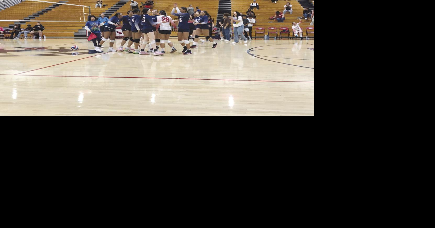 Eagles avenge loss to ’Dogs with 5-set win | Sports | avpress.com