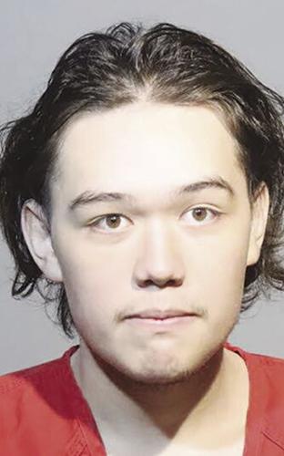 Lancaster teen sentenced for swatting calls | News | avpress.com