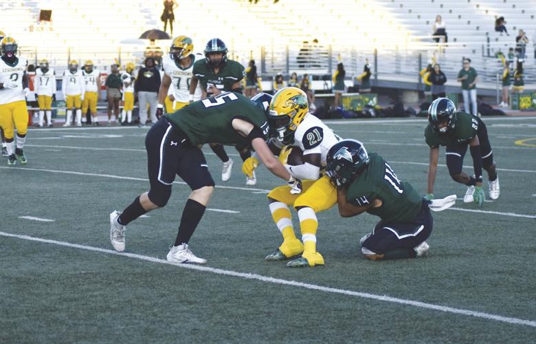 Falcons can’t get past rough start | Sports | avpress.com