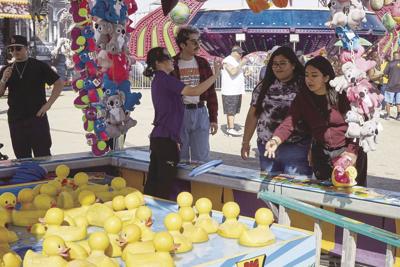 Poppy Festival gets under way today | News | avpress.com
