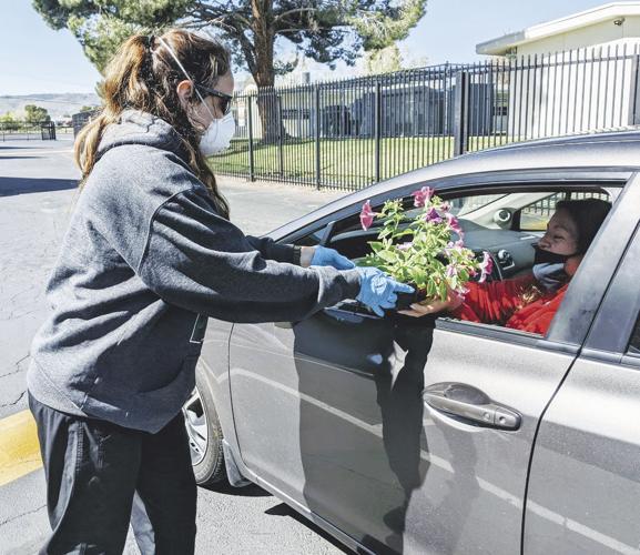 Families grab lunch and a plant | Local News | avpress.com