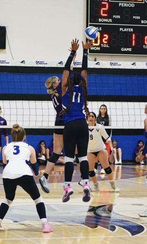 Knights earn productive win over Mustangs | Sports | avpress.com