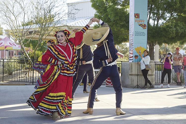 Poppy Festival 2024 | | avpress.com