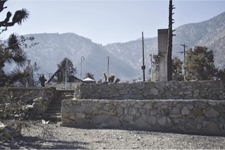 Struggling to recover from Bobcat Fire | News | avpress.com