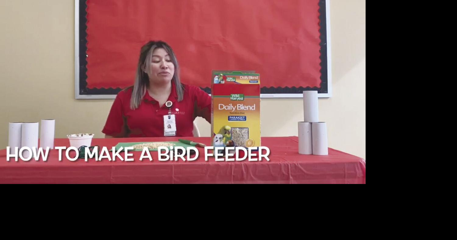 City hosting virtual spring break activities | News | avpress.com