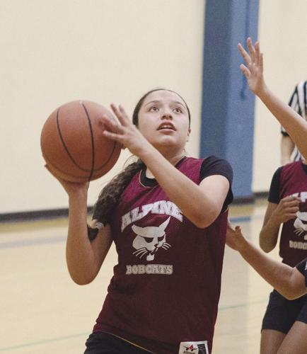 Alpine boys, girls win basketball tournament | Sports | avpress.com