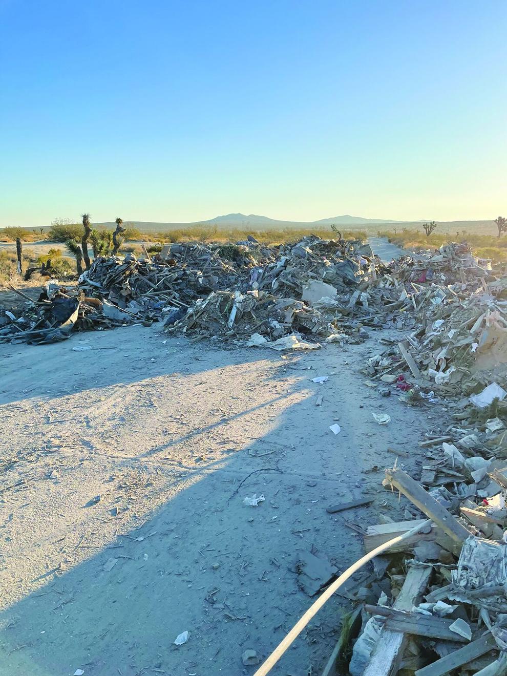 Man arrested after large illegal dumping bust | News | avpress.com