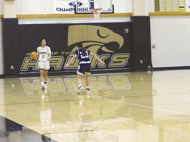 Knight’s rally falls short in loss to No. 3 Aquinas | Sports | avpress.com