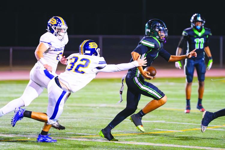 Falcons fly to first-round victory | Sports | avpress.com