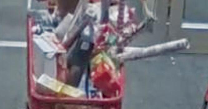 Detectives pursue eastside Target thief | News | avpress.com