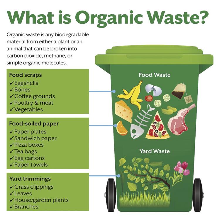 Separation of organic waste starts Tuesday | News | avpress.com