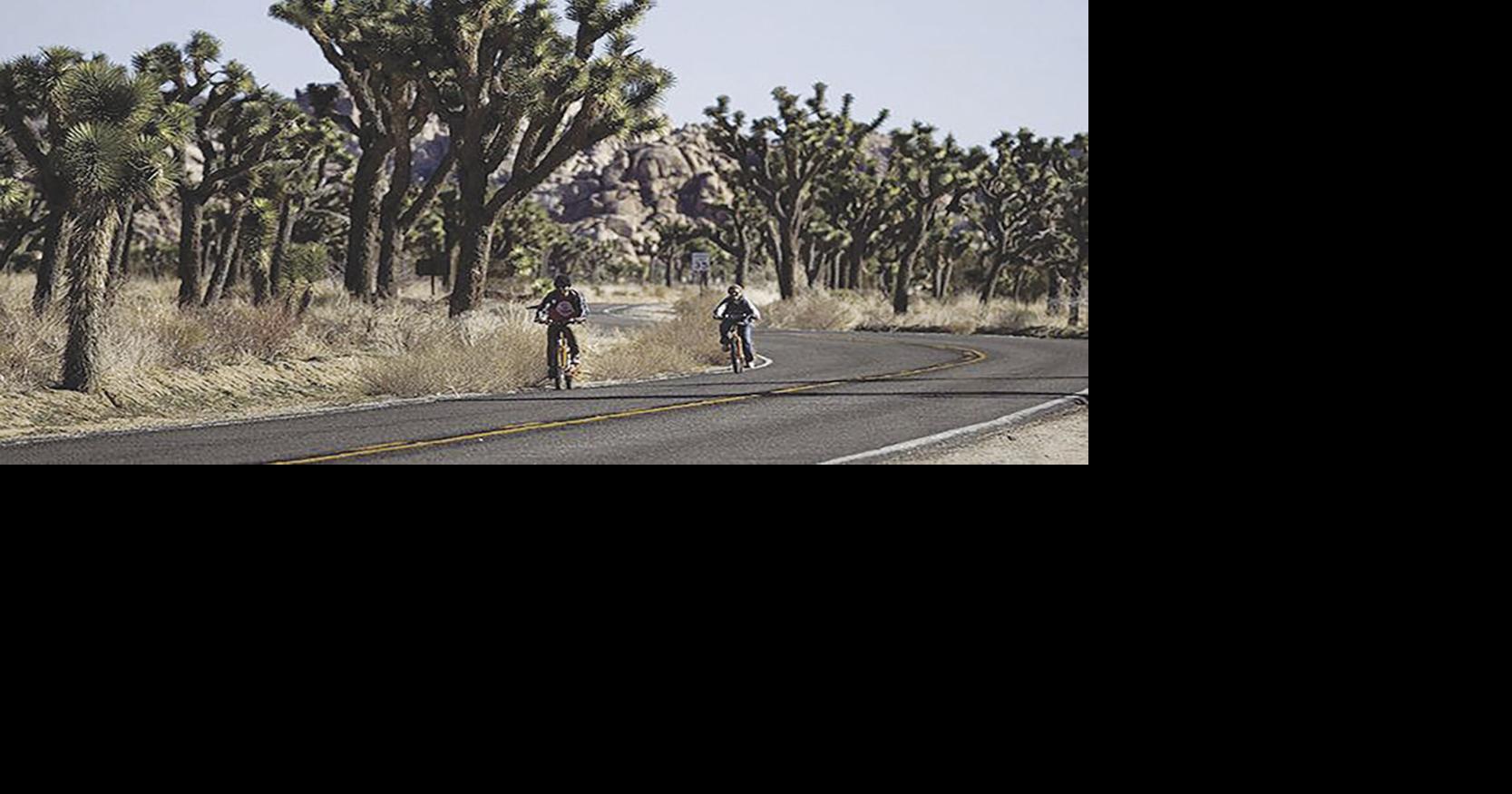 County considers Joshua tree protection | News | avpress.com