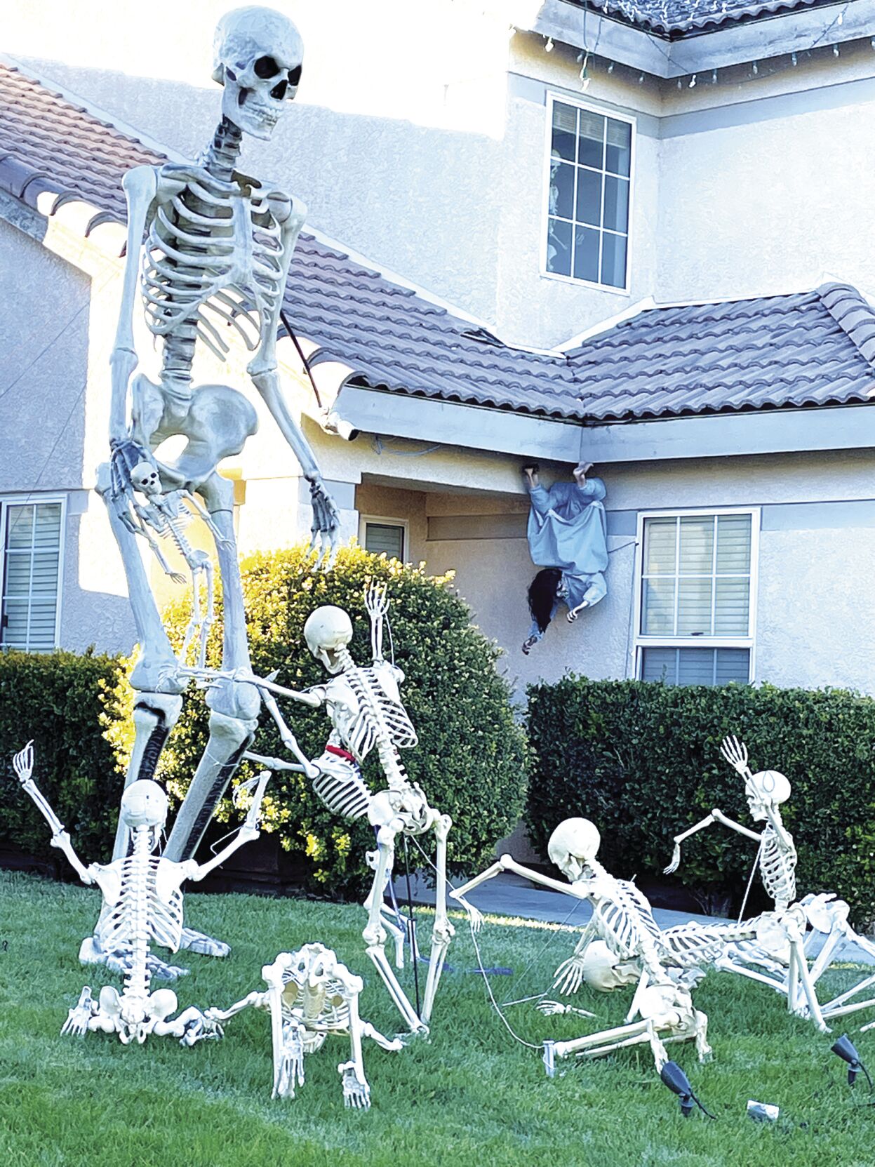 Spooky, scary skeletons | Valley Life | avpress.com