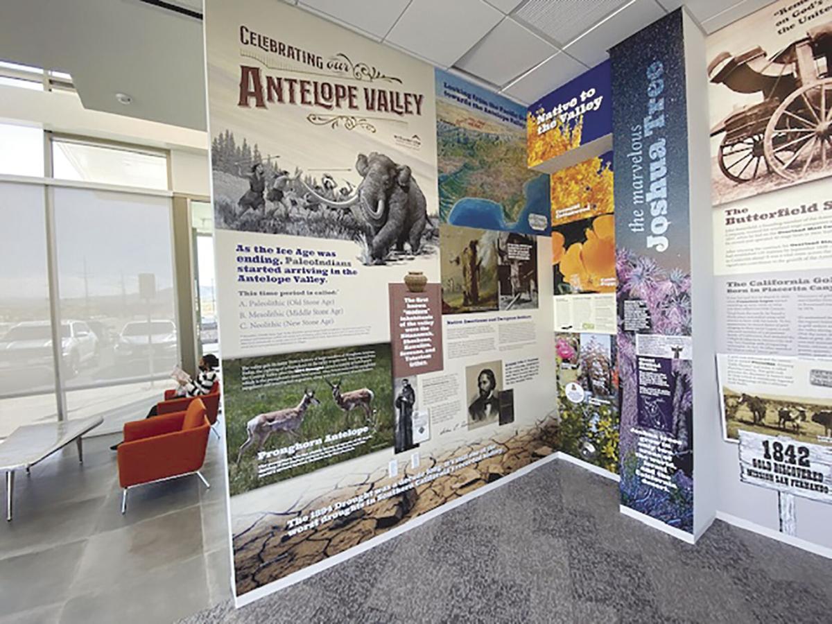 Edwards FCU opens flagship branch | News | avpress.com