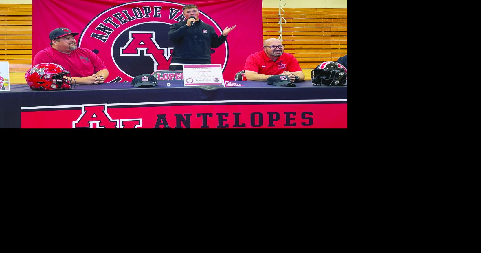 Long chooses Chapman | Sports | avpress.com